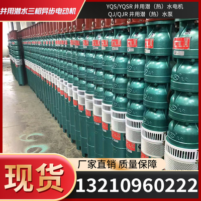 山西天海潜水泵200QJ 250QJ-22 30 37KW井用深井潜水三相异步电机