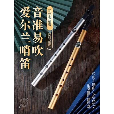 爱尔兰口哨初学者演奏金属锡长笛6孔C/D调谐专业金属直笛
