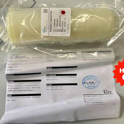 {议价}大立囊式过滤器 Darlly滤芯 大立滤芯BAPP0022A{可维修}