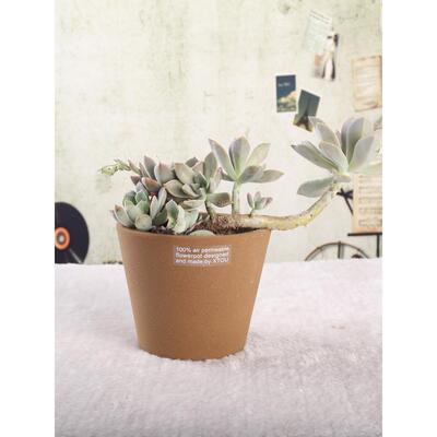 老盆友1613透气大花盆xtou会呼吸的创意多孔陶瓷爆款兰花老桩红陶