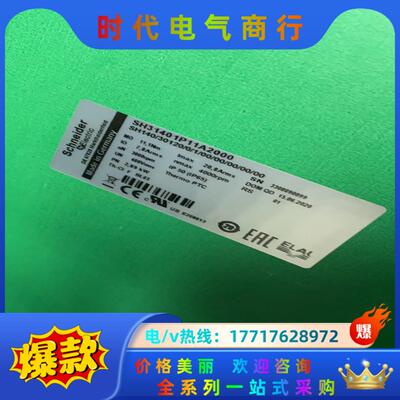 ELAU伺服电机SH31401P11A2000现货销售议价