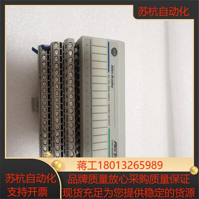 AB罗克韦尔1794-ib10xob6货物如图原装