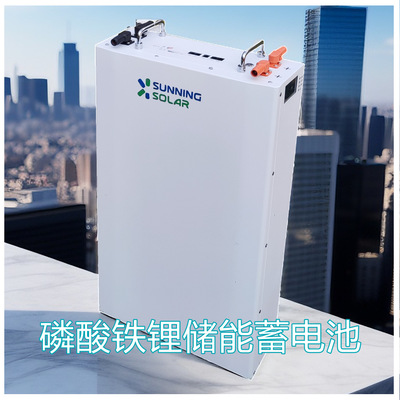 48V锂电池磷酸铁锂光伏储能电池并离网太阳能储能系统家用LiFePO4