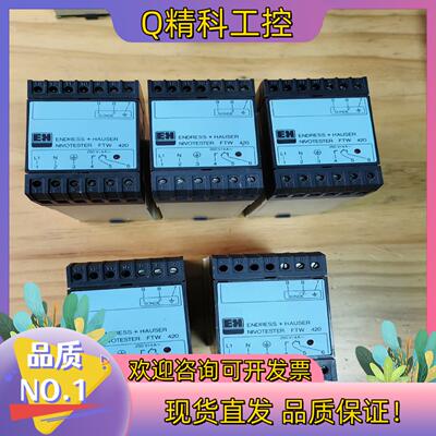 E+H控制器FTW420 917077-0100 ca.1,现货