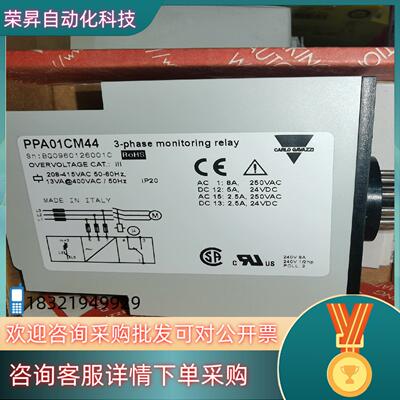 PPA01CM44继电器  瑞士CARLO GAVAZZ