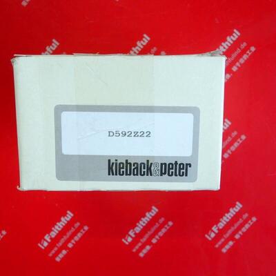 Kieback Peter D592Z22 科特贝德全新压力