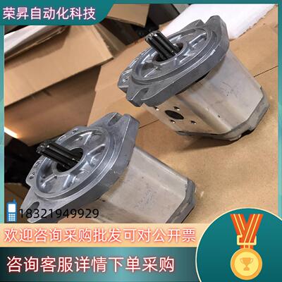 现货意大利BONDIOLI&PAVESI齿轮泵SMLPD/B22