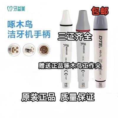 正品啄木鸟洁牙机手柄原装