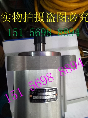 液压齿轮油泵CBQ-F540-AFPL CFPL AFHL CFHL合肥集源穗意液压油泵