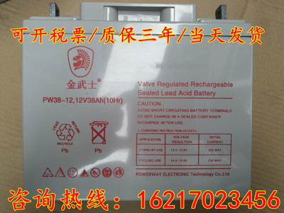 UPS蓄电池PV12V100AH/65AH PW24-12/38-12 PH17-12V150AH