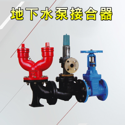 SQA-100 1.6MPA地下式消防水泵接合器寒冷地下式水泵接合器整套