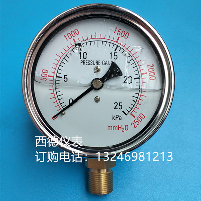 充油耐震膜盒压力表防振