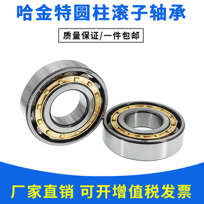 圆柱滚子轴承RN305 306 307 308 309 310 311 312 328M 包邮