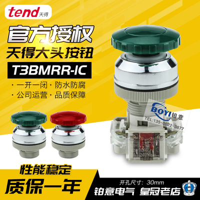 原装台湾天得蘑菇大头按