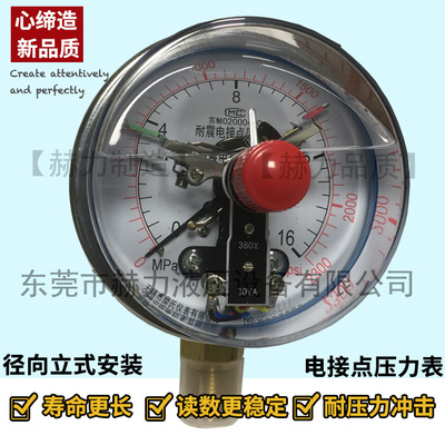 赫力品质耐振电接点油压