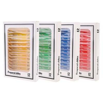 48pcs/set Kids Plastic Prepared Microscope Slides Biological