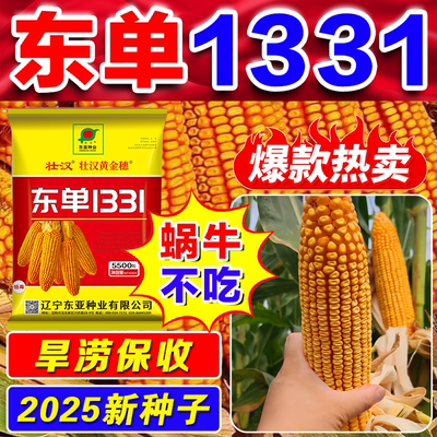 东单1331玉米种子大全批发高产大棒双胞胎矮杆抗倒伏活秆成熟苞米