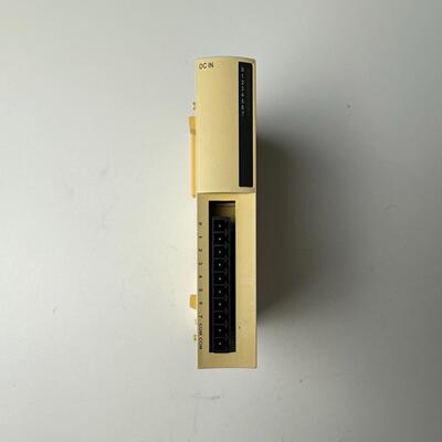 （请询价）模块TWDDDI8DT（1个）/TWDDDI16DT（