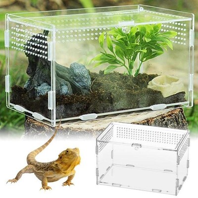 Reptile Tank Insect Spiders Tortoise Lizard Transparent Bree
