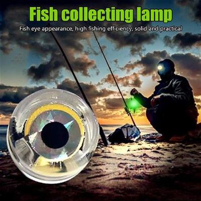 Eye Shape Fish Attraction Lamp Waterproof Mini LED Fishing