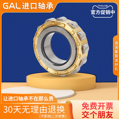 日本GAL进口圆柱滚子轴承 NJ NU304 305 306 307 308 309 310 EM