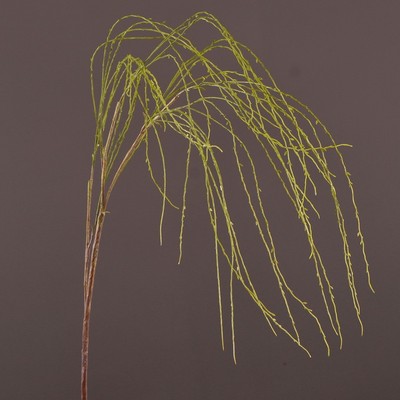 厂家直销仿真花艺垂柳橱窗酒店商店婚庆造景仿真绿植软装大枝柳枝