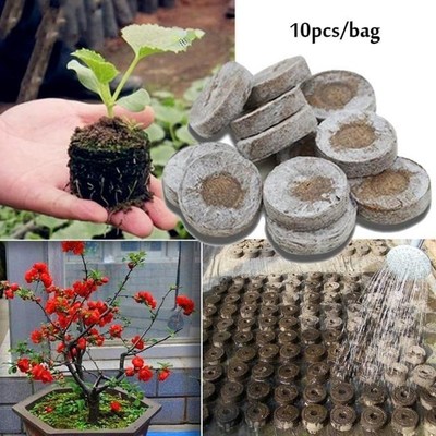 10Pcs/bag 30mm Peat Pellets  Starting Plugs Pallet l