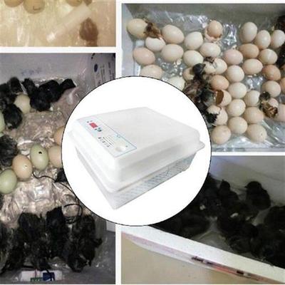 Egg Incubator Poultry Hatching Machine Automatic Egg