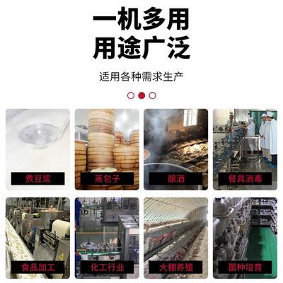 定ZQJ-144K制加工2KW-360KW电电器热蒸汽发生立式高压商用大7型热