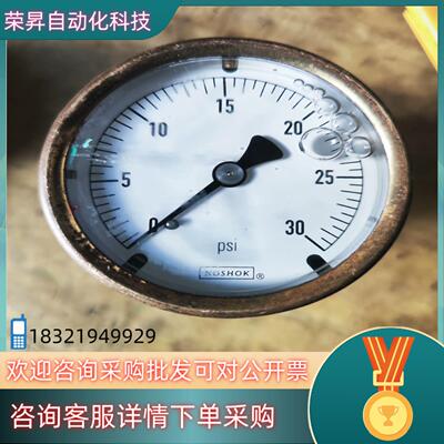 现货NOSHOK 仪表背接下接全铜表体成