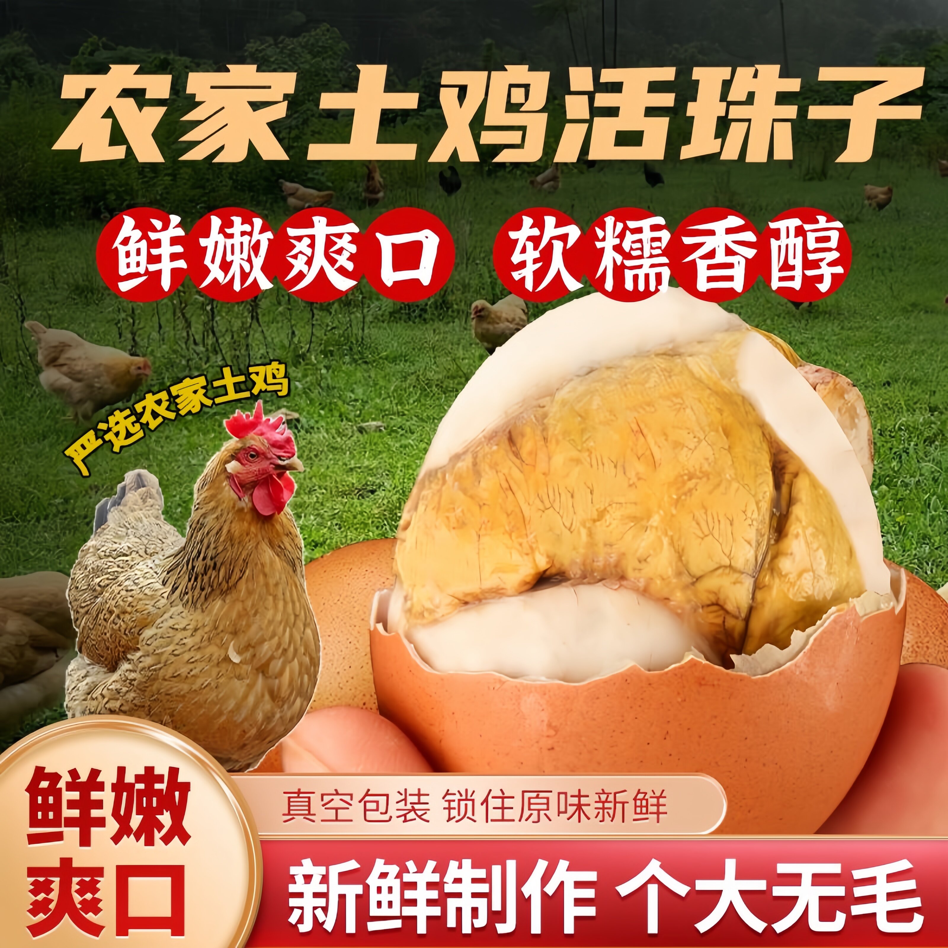 活珠子开袋即食13天新鲜五香毛蛋活珠子熟香辣味麻辣毛蛋鸡蛋年货