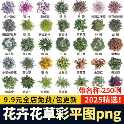 procreate彩平图植物树草花卉花境乔灌木平面图例PSD/PNG免抠素材