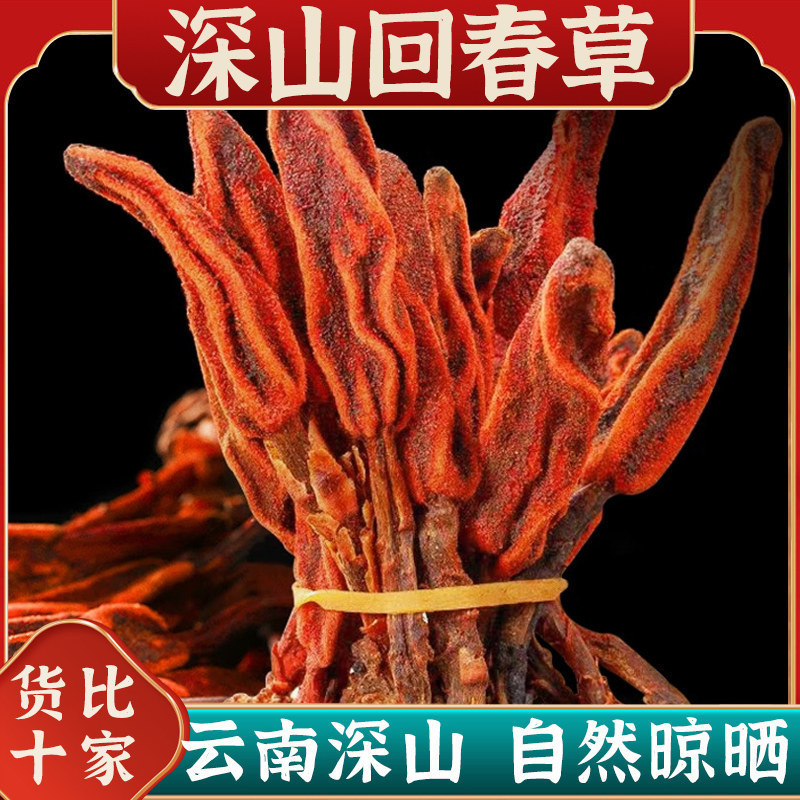 野生回春草不老草云南特产自然烤干无添加泡酒泡水