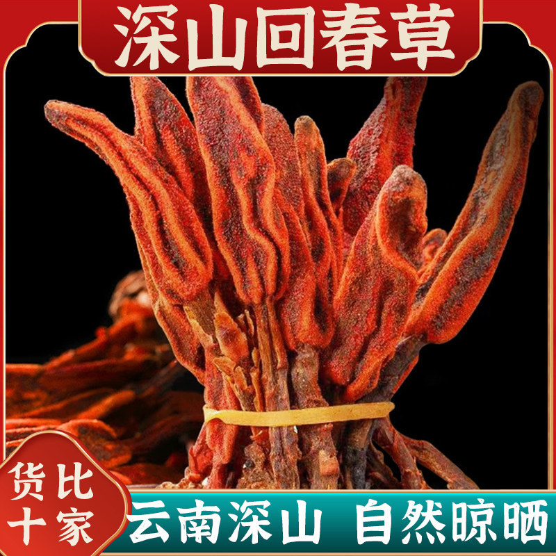 云南野生回春草不老草的功效作用顶天柱锁阳泡水泡酒500g新货
