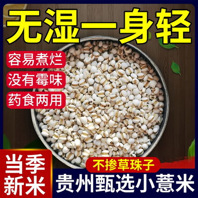 正宗小薏米除湿贵州兴仁农家新鲜