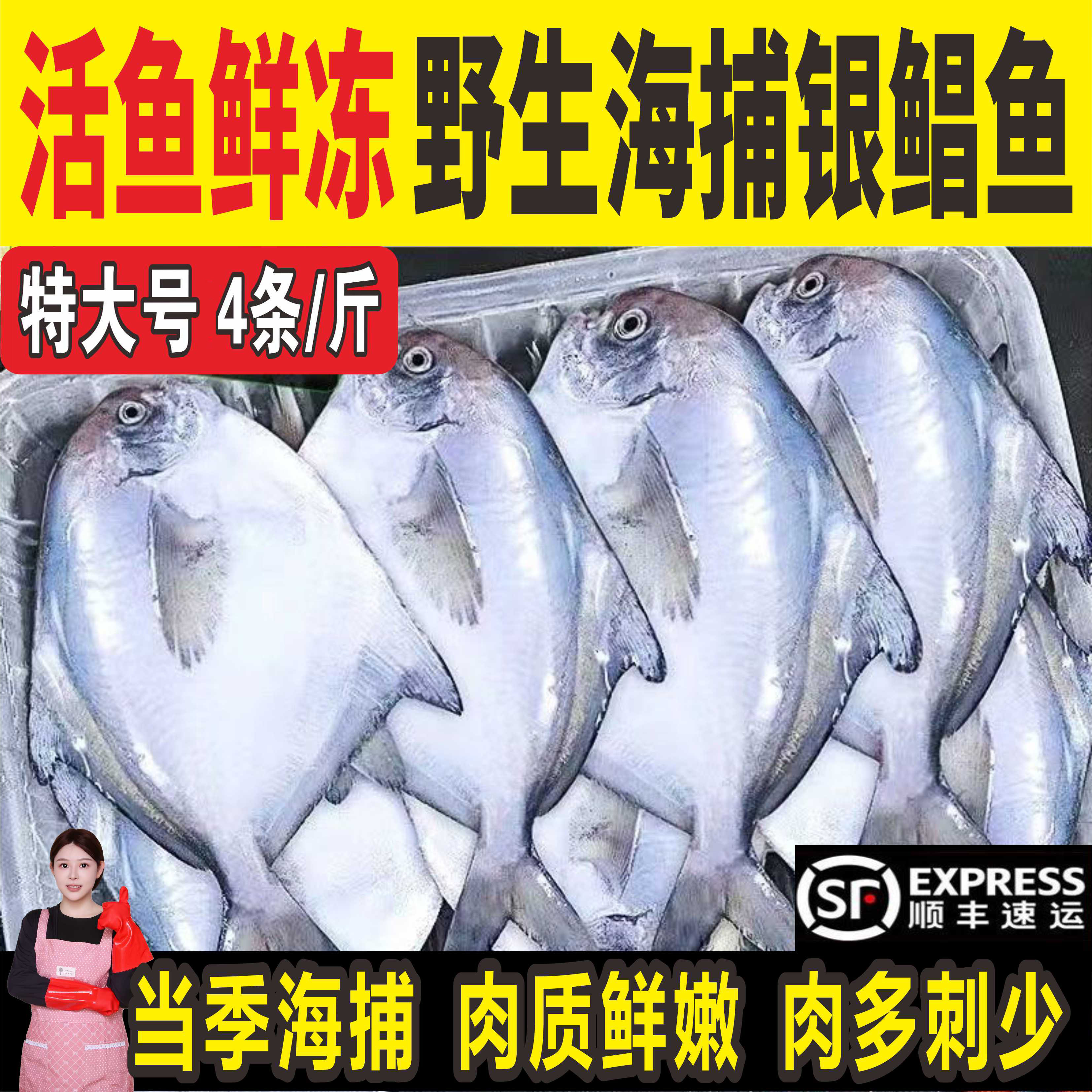 新鲜海捕大鲳鱼鲜活冷冻白鲳鱼银鲳鱼新鲜冷冻野生平鱼海鲜水产