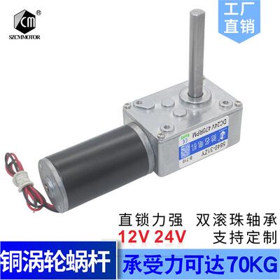 5840-31ZY直流涡轮蜗杆减速电机 自锁力强 直流电机 51MM长轴电机