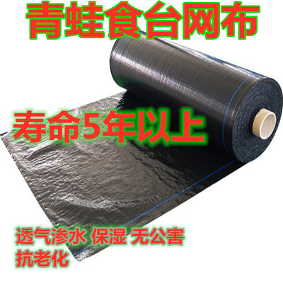 青蛙食台网布防草布牛蛙训食台诱食网格围网防逃网塑料网栏网养殖