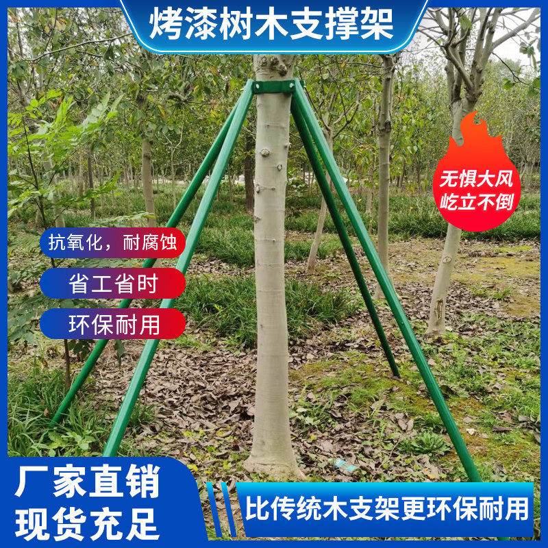 镀锌钢管树木支撑架大树防风固定支架园林绿化苗木树木支撑固定器