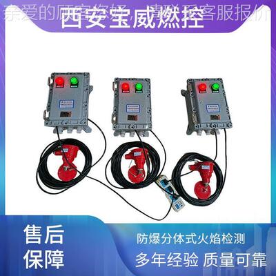 威燃控设紫外BWFZJ-1线火宝焰检测备BWZJ-1FKF