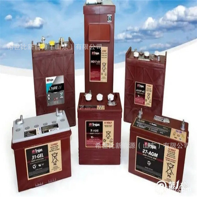 美国邱健Trojan蓄电池31XHS观光车12V130AH垛板叉车巡逻车进口