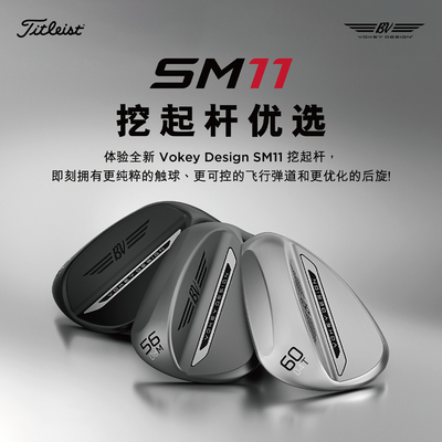 泰特利斯高尔夫球杆SM11挖起杆
