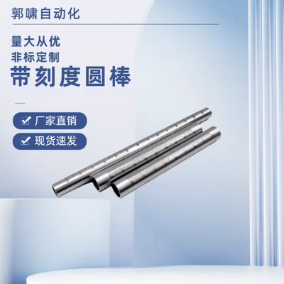 GSSTN GSSTA10 12 15 20 25-100 150 200 250 300圆柱刻度尺圆棒