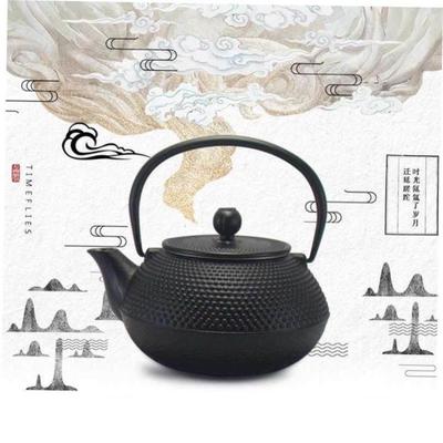 Iron Tea Pot with Stainless Steel Infuser Cast Iron Teapot