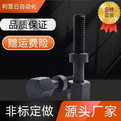 PAY01外六角调整螺栓AJST3 4 5 6 10 12 16-10 15 20 25 30 35 40