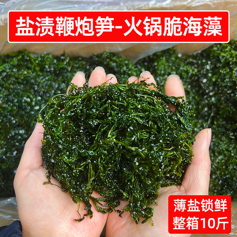 盐渍鞭炮笋10斤火锅专用脆海藻一箱马尾藻龙须长寿菜凉拌商用食材