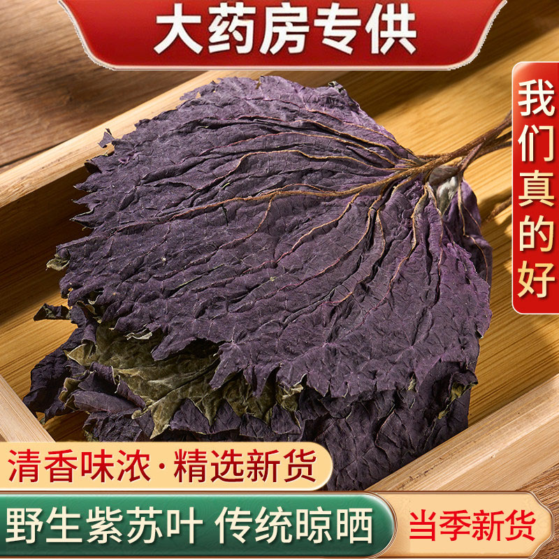 紫苏叶正品中药材250g新鲜泡水非特级野生天然苏子叶泡茶可代磨粉
