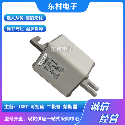 熔断器170M5064 170M5065 170M5066 170M5067 170M5068全新现货