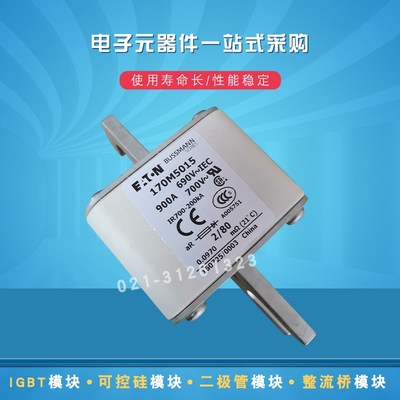 巴斯曼熔断器170M5017 5018 5058 5059 5060 5061 5062 5063 5064