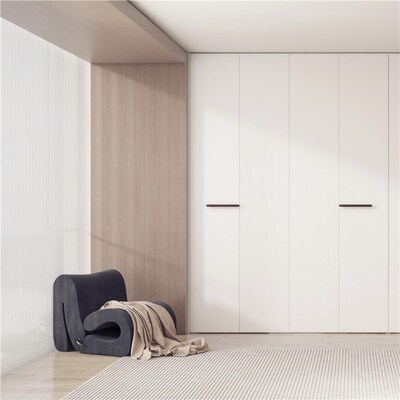 舍尔弗金属衣柜 设计意向金 定制衣柜 金属衣柜